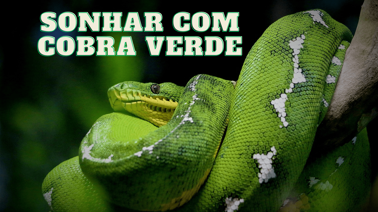 sonhar com cobra verde - números da sorte - 30 sonhos - Sonhar Brasil